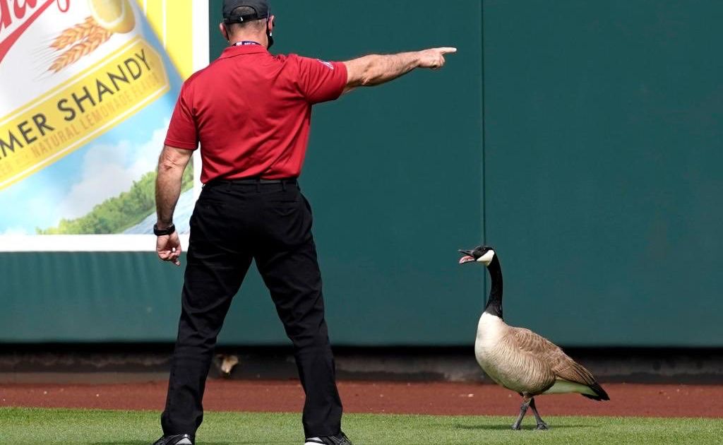 someday I will want to draw a body and maybe it will look like one of ...