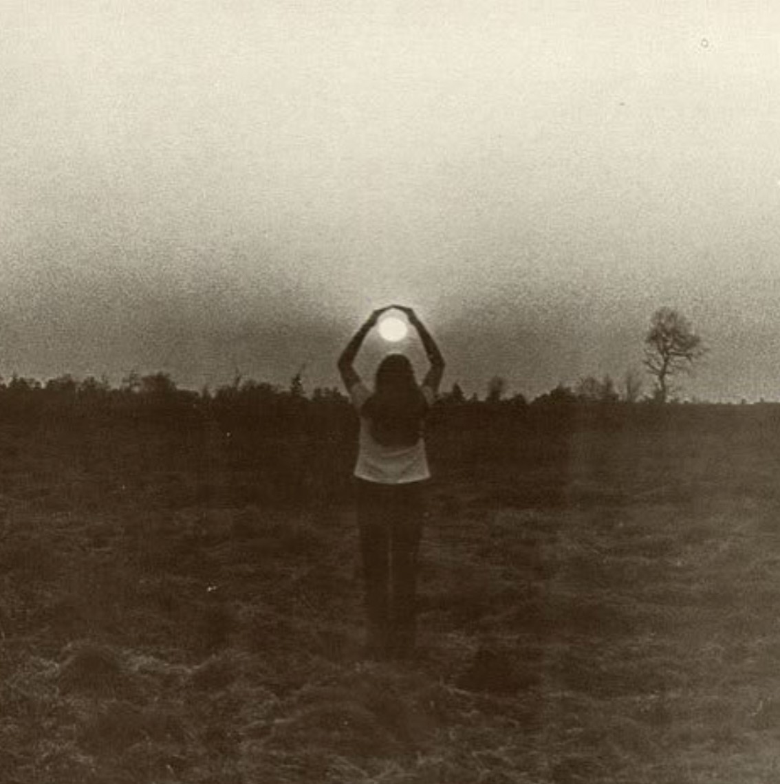 Humans being human — Are.na