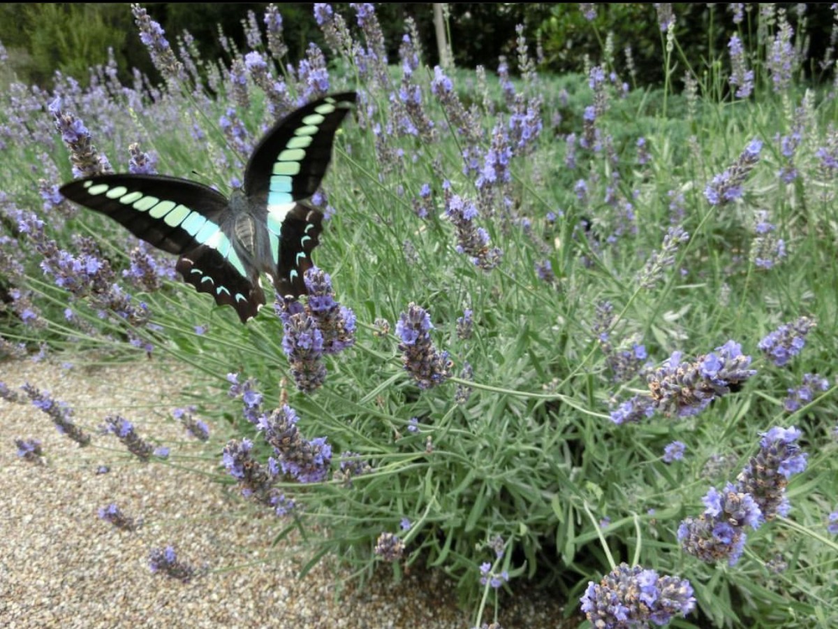 1ae8f1af-7ea3-45cc-bdc7-b5ae524d3f7a.jpg — Are.na