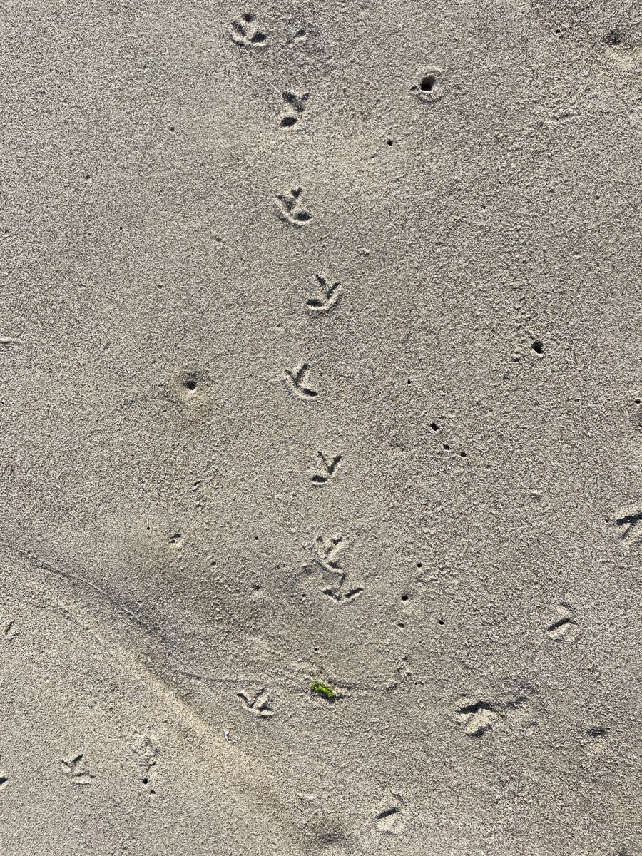 10 artifacts — Are.na