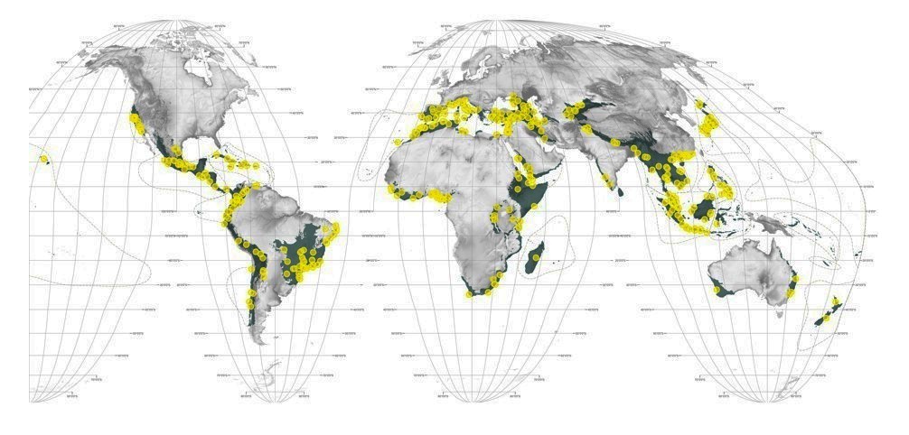 Interrupted Map Projections — Are.na