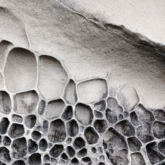 Forms & Modes of Fire | Are.na