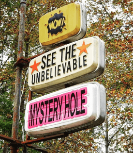 ̩̩͙ *˚dayna murphy *‧͙♡ *˚ — Are.na