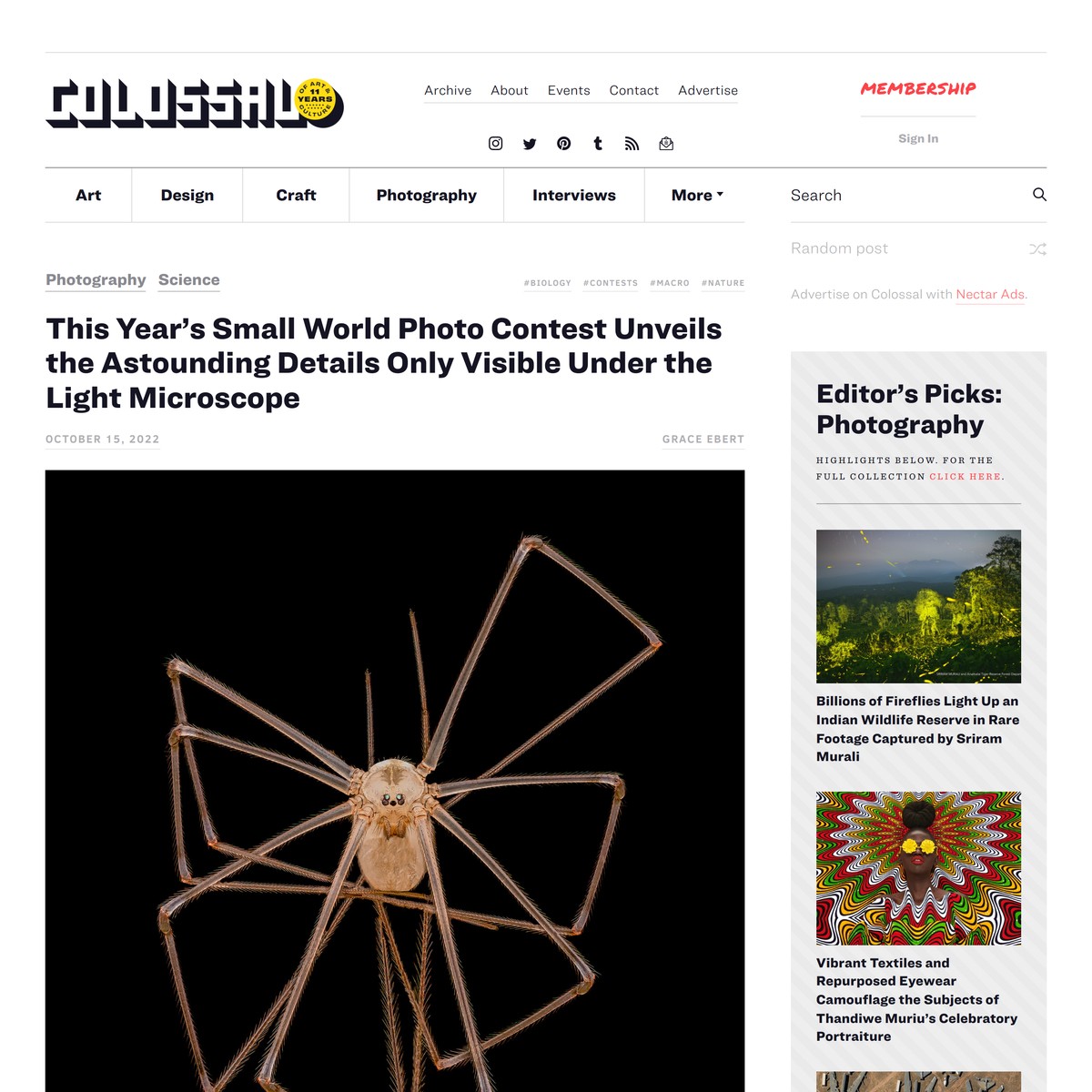 This Year’s Small World Photo Contest Unveils the Astounding Details ...