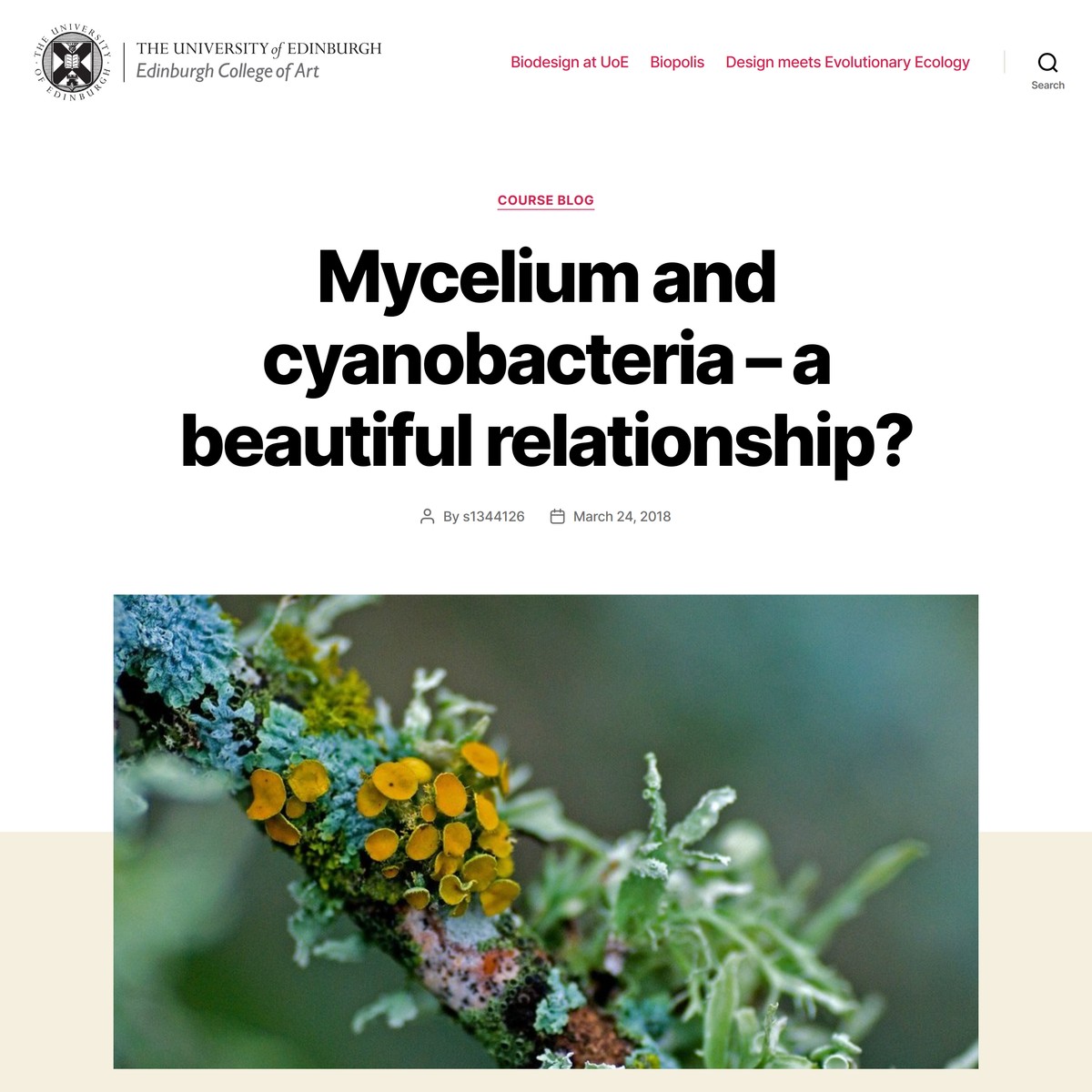 Mycelium and cyanobacteria – a beautiful relationship? — Are.na