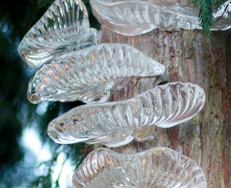 nature of order | Are.na