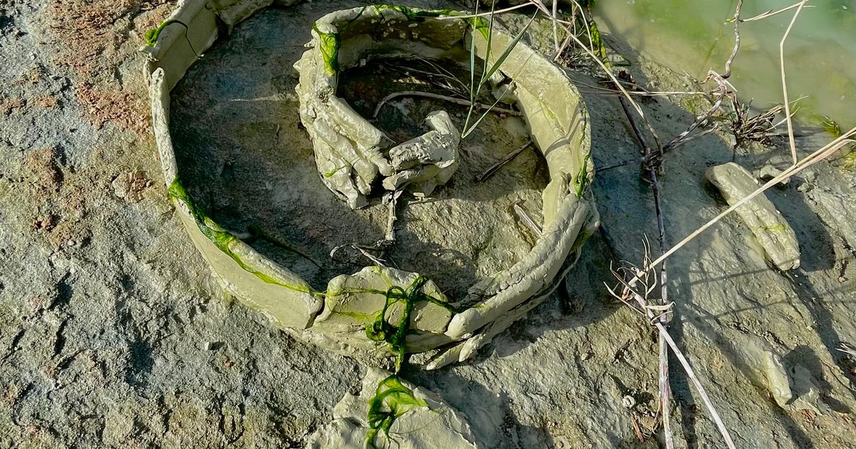 Absence of body in the landscape - CV | Are.na