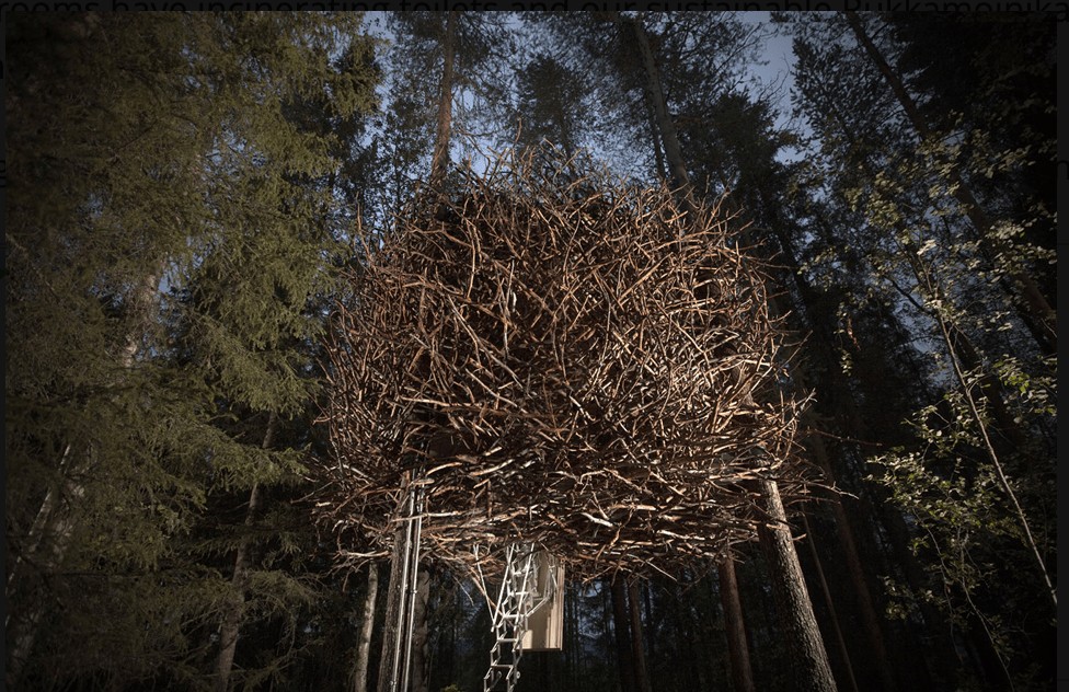 Nest-Inspired Designs for Humans — Are.na