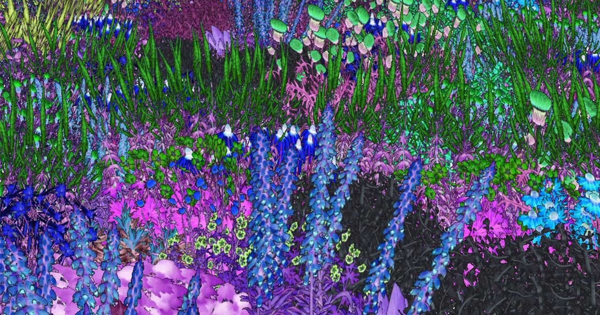 How insect pollinators see plants | Are.na