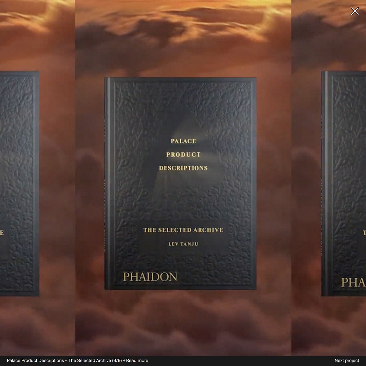 Palace Product Descriptions – The Selected Archive | Maximage — Are.na