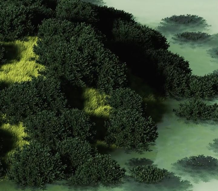 Casual* Nature | Are.na