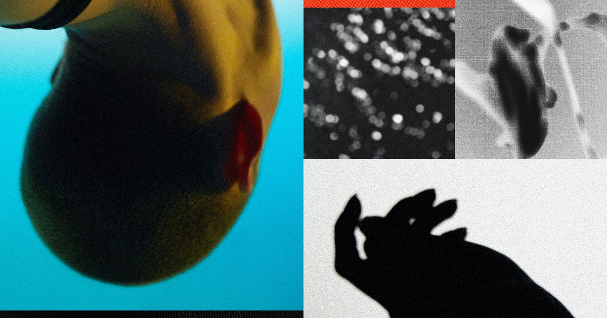 Layout | Are.na