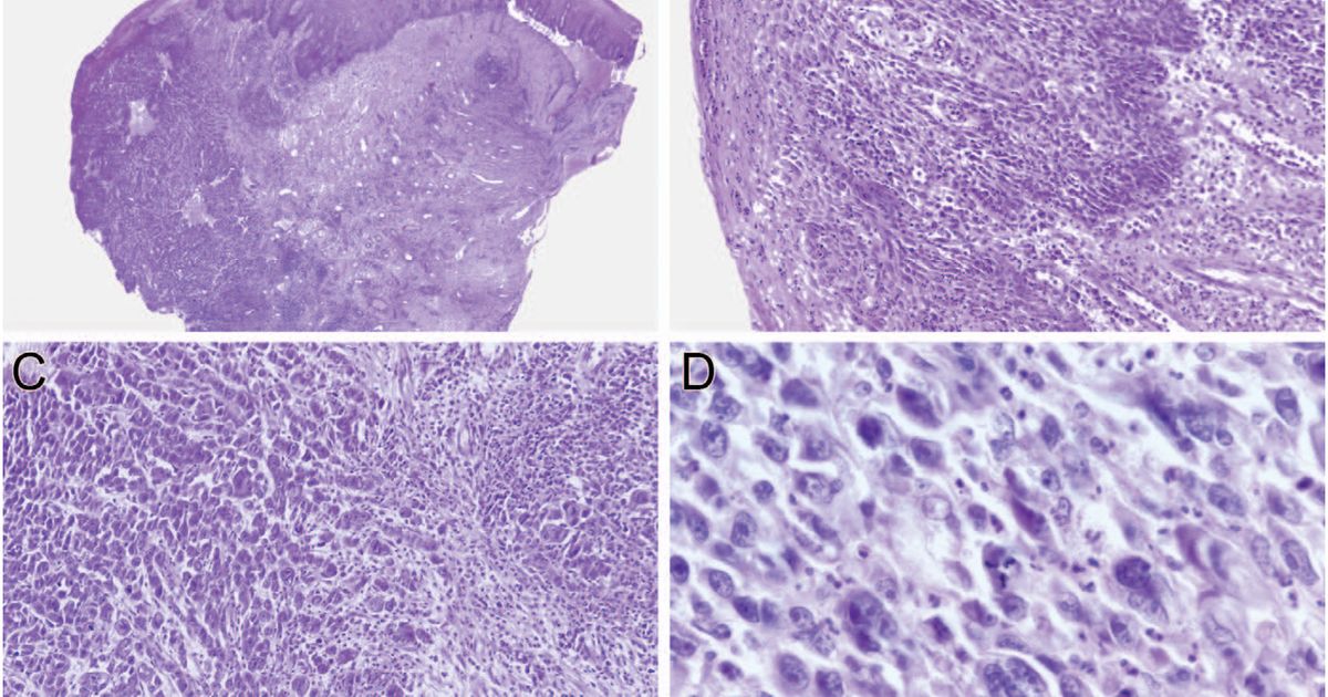 Ultra Terrestrial | Are.na
