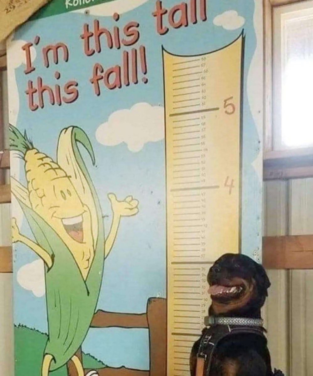 it's not corn — Are.na