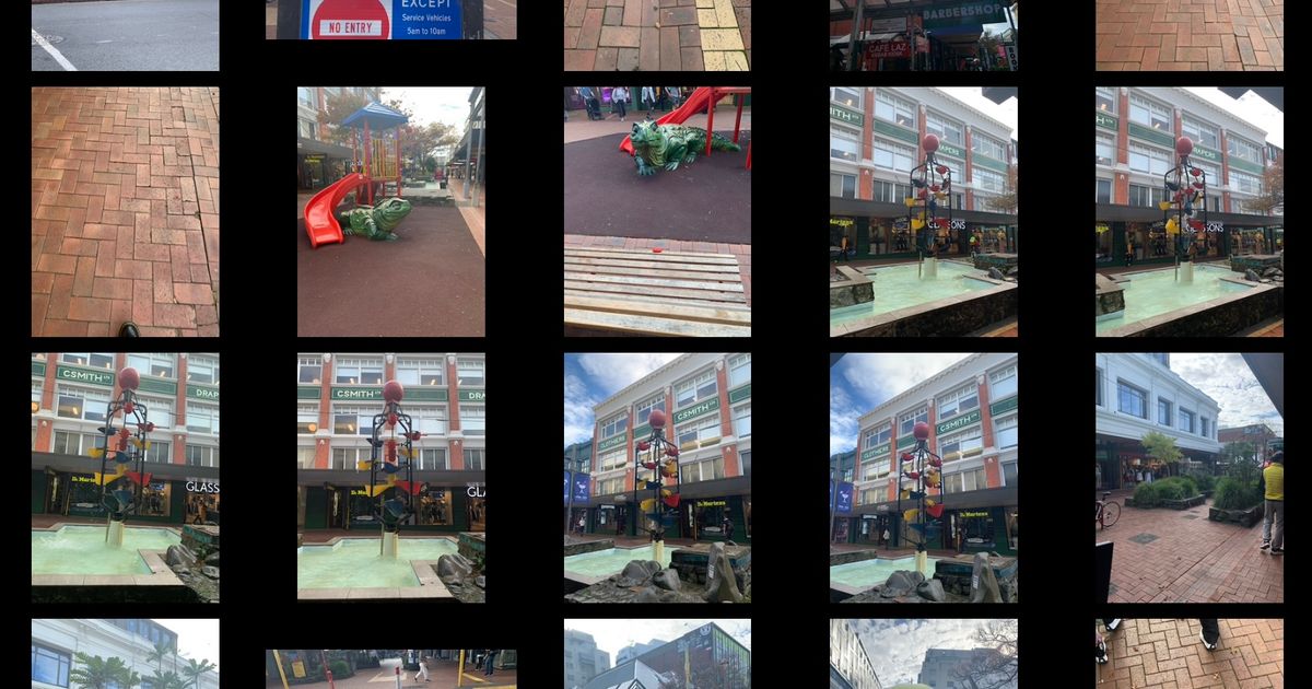 Felicity Scott - Screen | Are.na