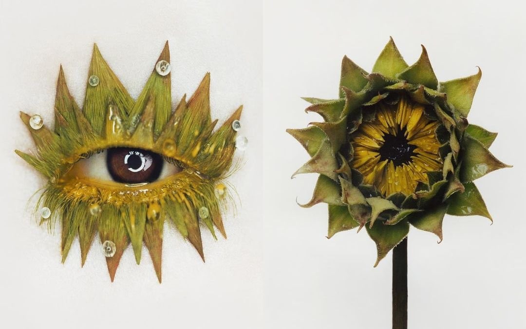 artist: Cho Gi-Seok — Are.na