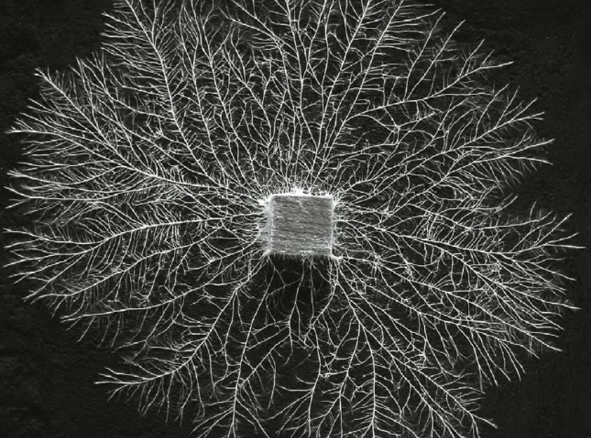 random order | Are.na