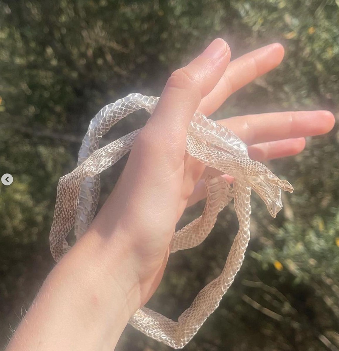 weird angles Paris shoot — Are.na