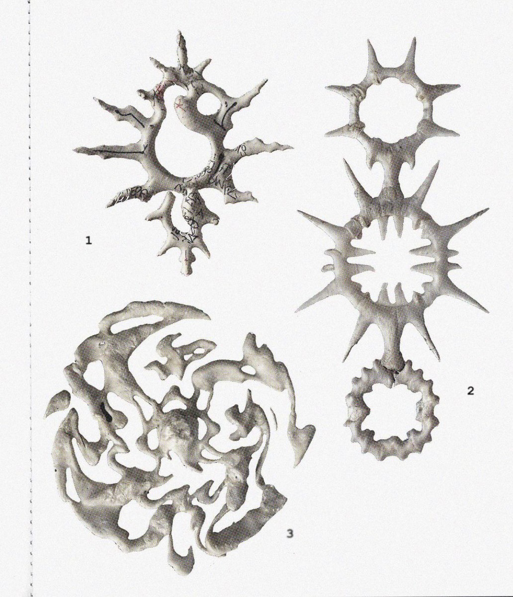 °Symbols — Are.na