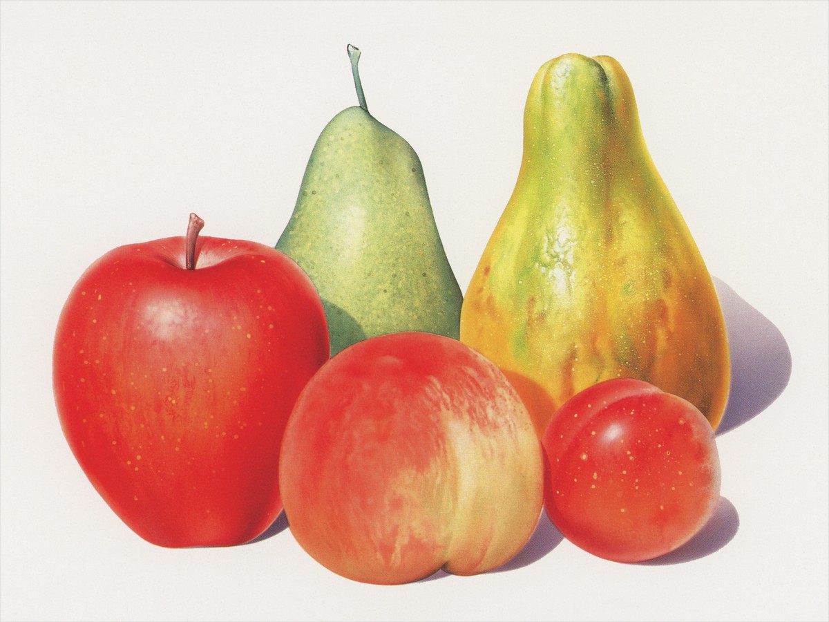 Bonus Fruit — Are.na