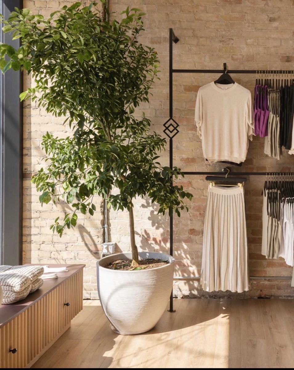 Shapes: Brand Identity — Are.na