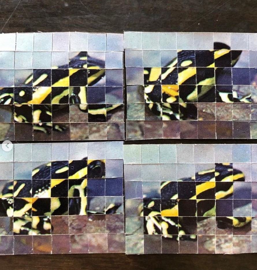 ☁️ cryptid mutant god ☁️ — Are.na