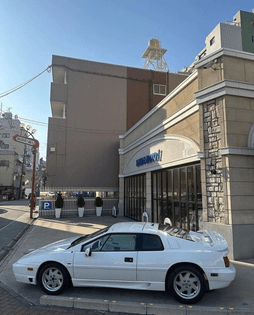 The Palm Report™ by Poolsuite — Are.na