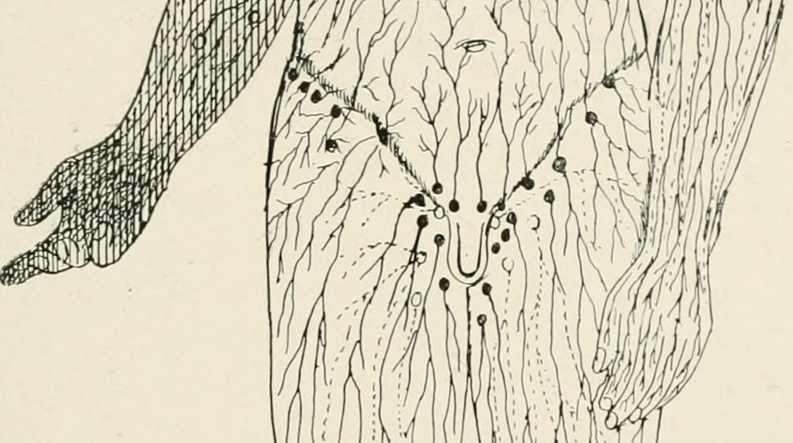 sexy diagrams and charts | Are.na