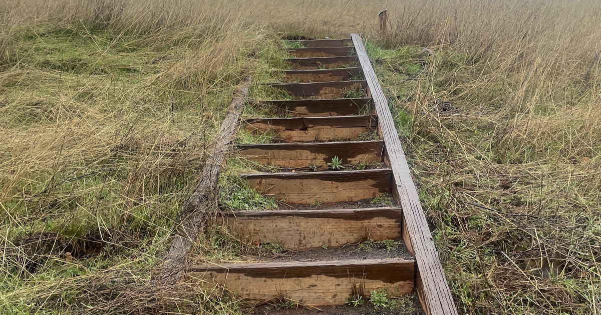 prairie fever | Are.na