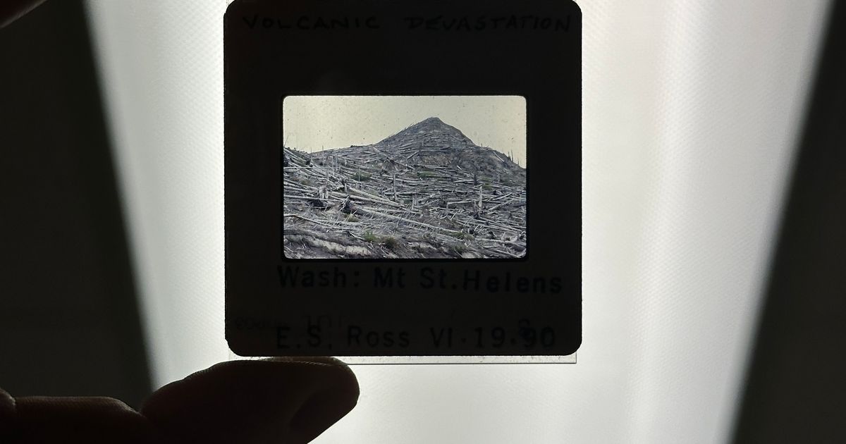 Sister Mountain | Are.na