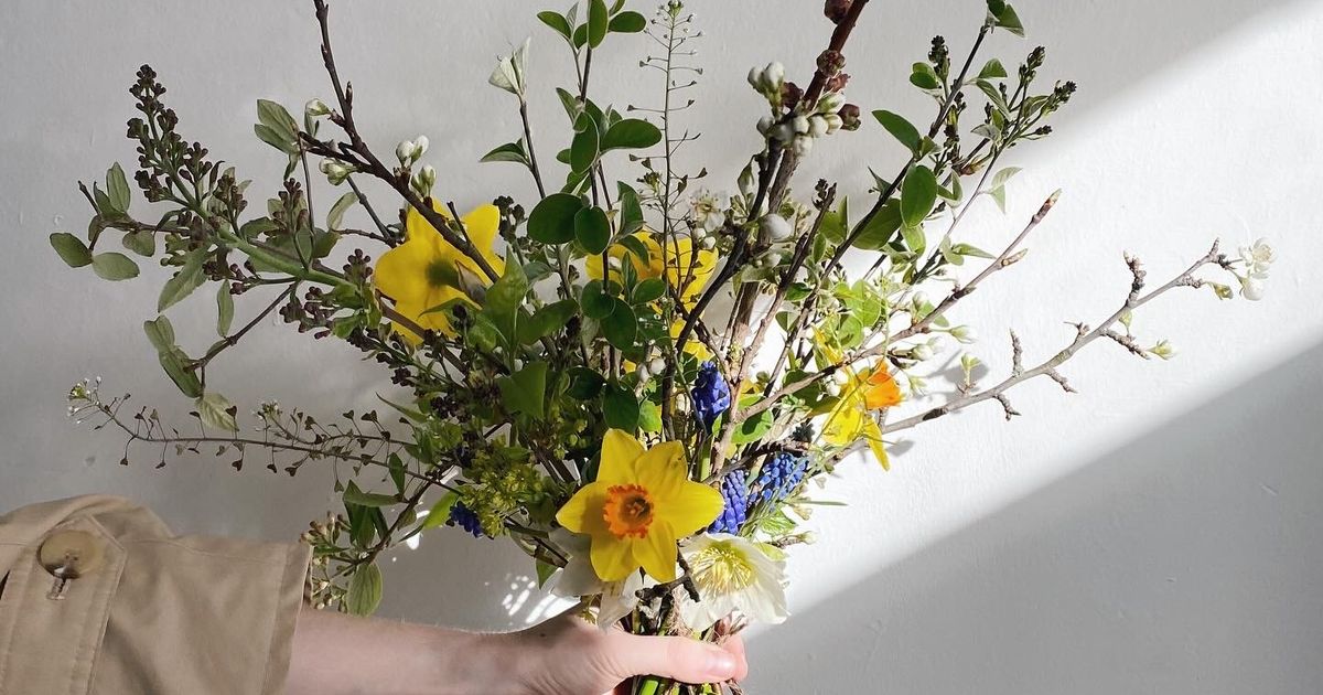 late-bloom-er | Are.na