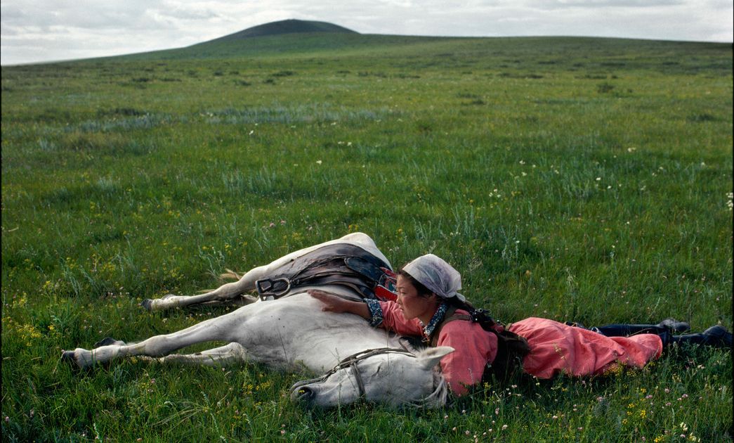 lay lady lay, lay across my 𝓼𝔀𝓮𝓮𝓽𝓰𝓻𝓪𝓼𝓼 bed | Are.na