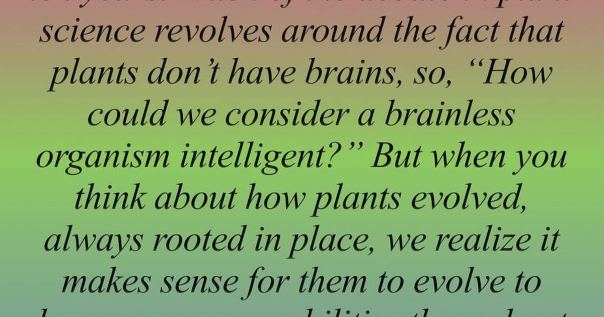 if you find this, it means something. | Are.na