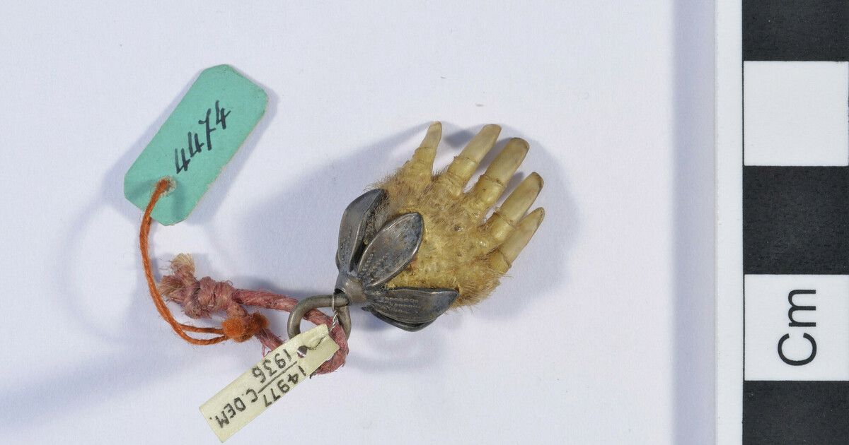 witch cakes and bagged moles | Are.na