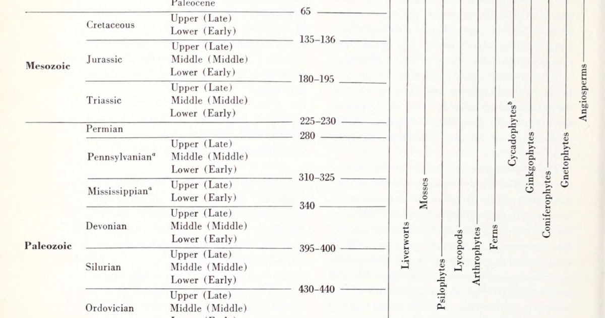🍄 hyper map | Are.na
