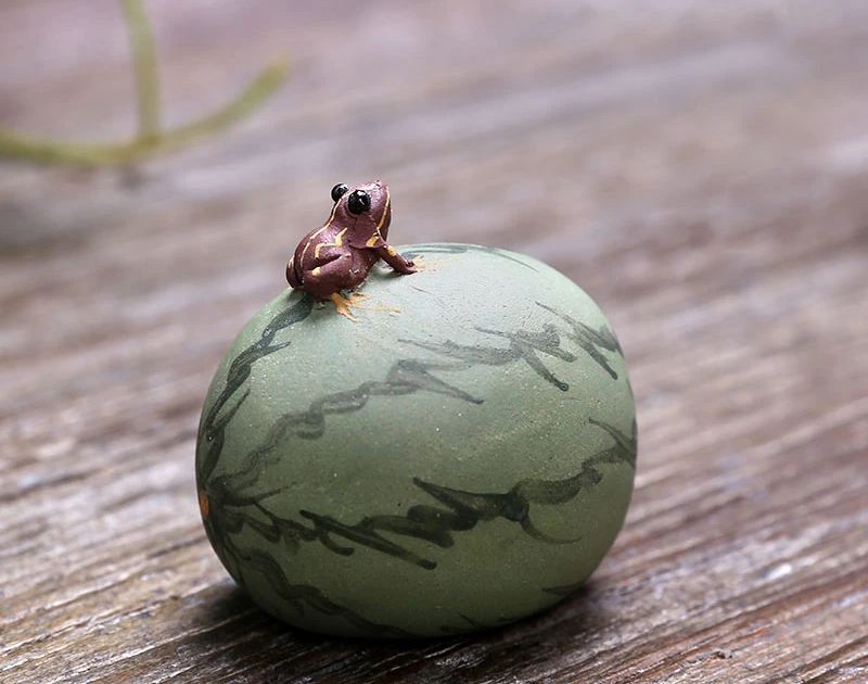 frog based design | Are.na