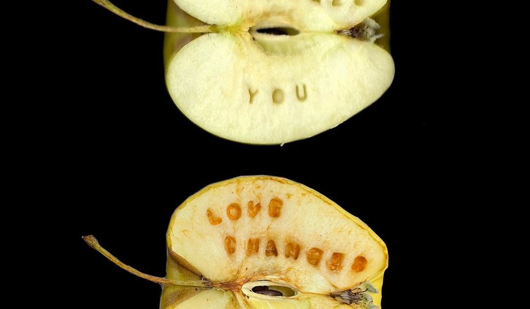 love letters :) | Are.na