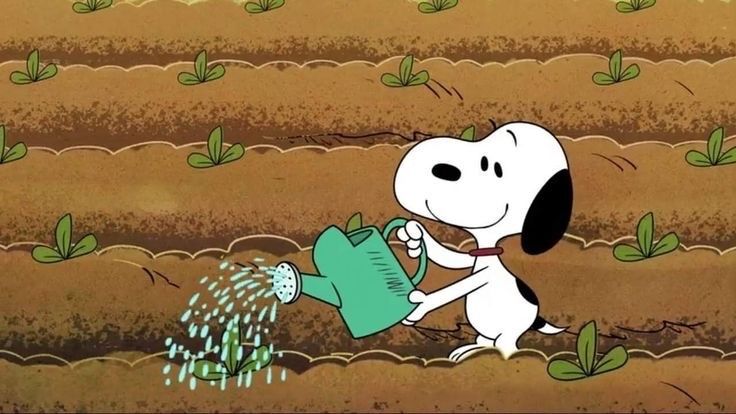 Snoopy pics | Are.na