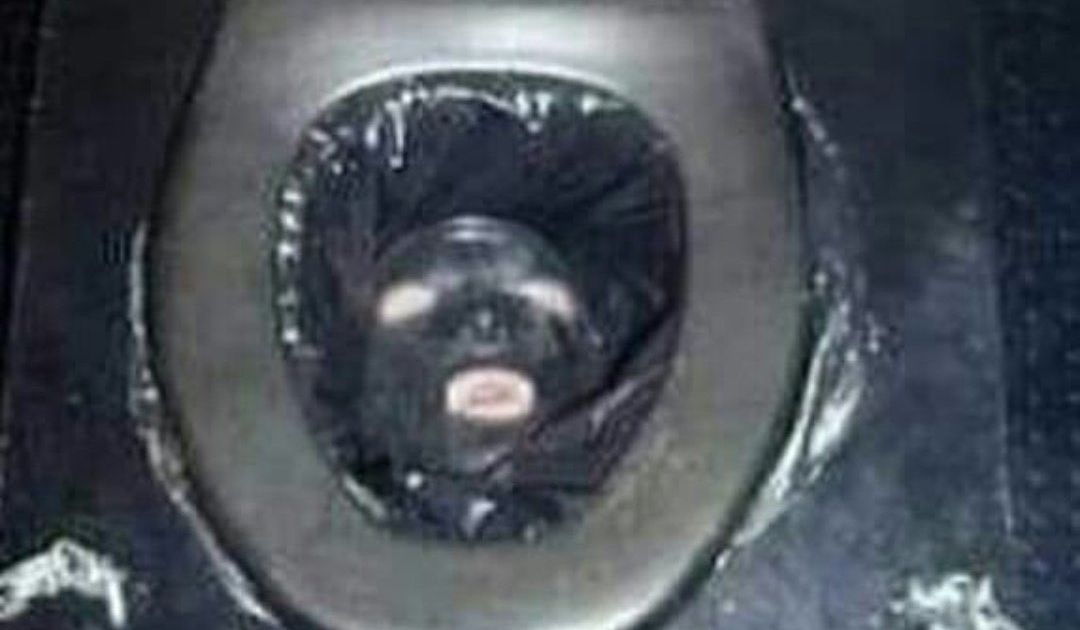 CURSED | Are.na