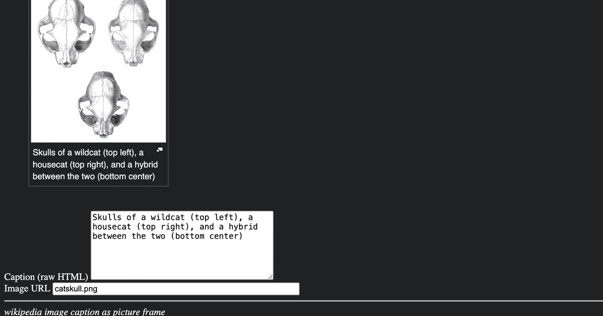 Fake Wikipedia Image Caption Generator | Are.na
