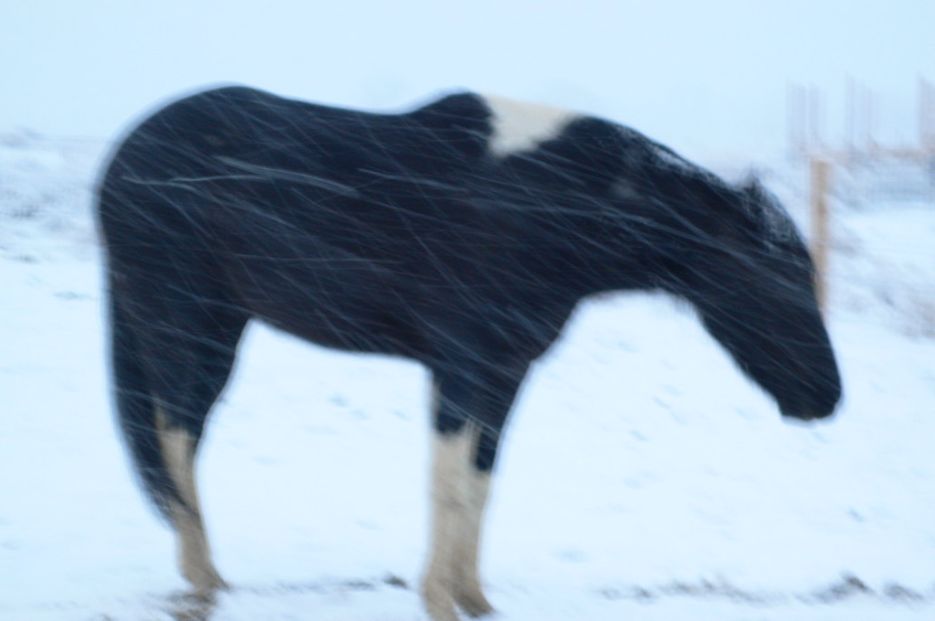 flickr core | Are.na