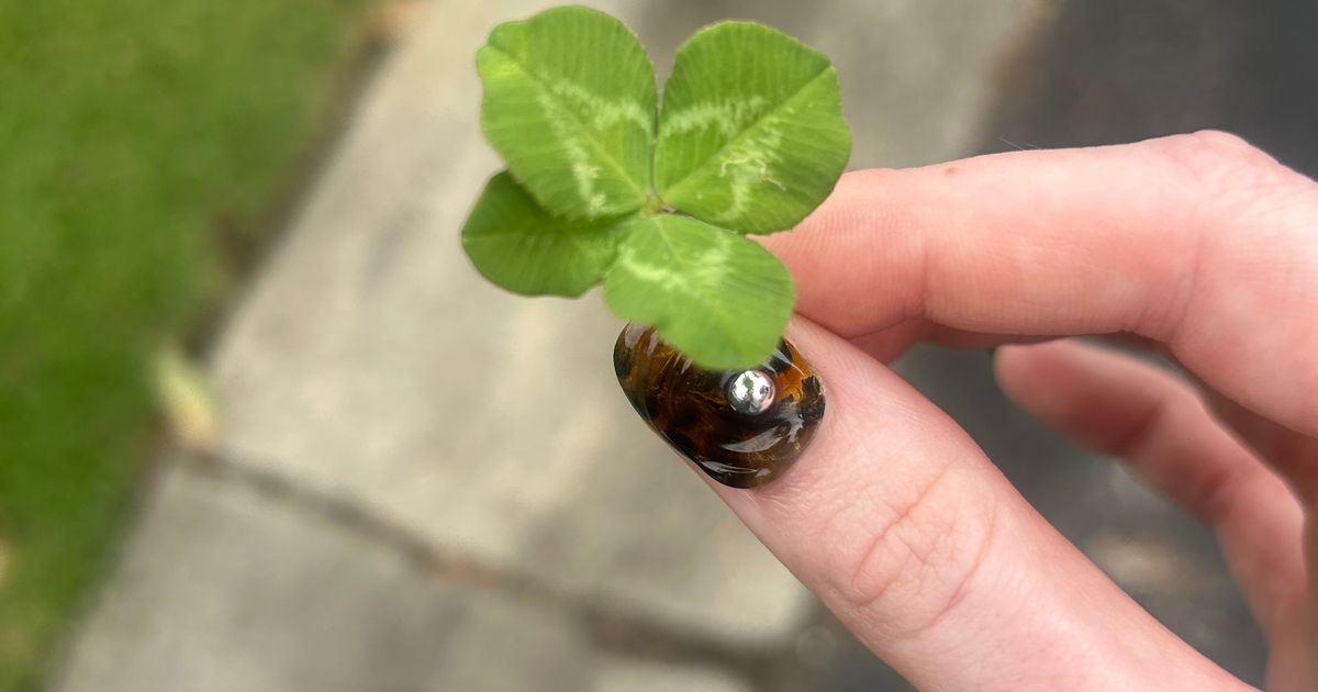 some evidence my life will change (clover posting) | Are.na