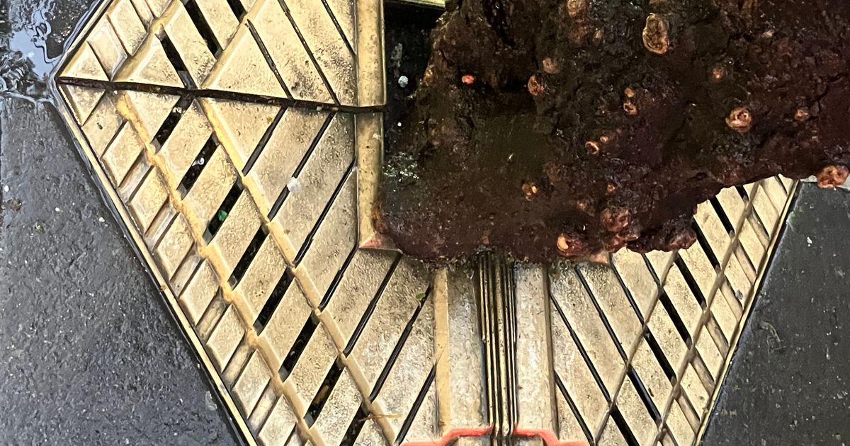 Location…: NY | Are.na