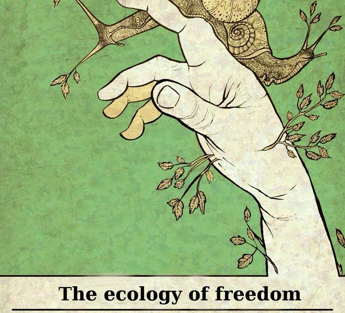 The Ecology of Freedom: The Emergence and Dissolution of Hierarchy ...